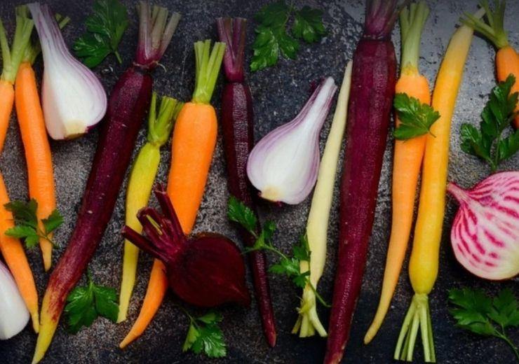 Buy Chemical Free Vegetables in Gurgaon & Delhi | Hydroponic Vegetable ...