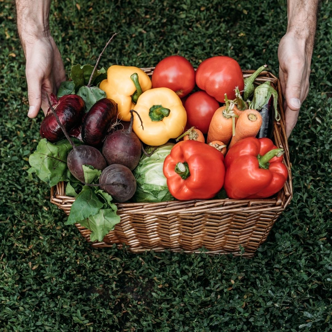 Subscriptions – True Leaf Farms