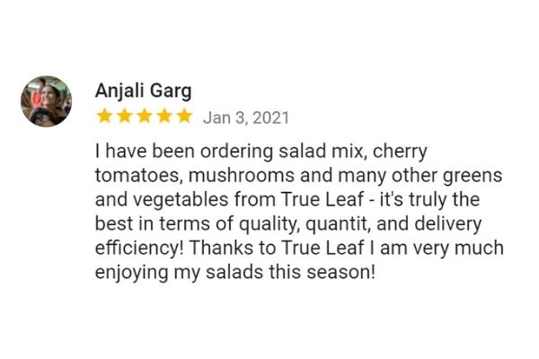 Buy Chemical Free Vegetables in Gurgaon & Delhi | Hydroponic Vegetable ...