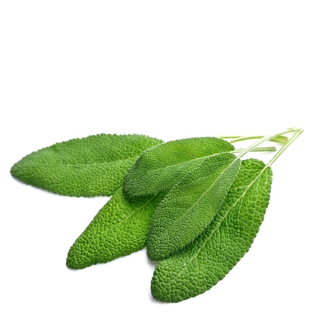 All Produce – True Leaf Farms