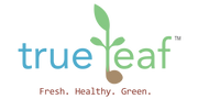 Buy Chemical Free Vegetables in Gurgaon & Delhi | Hydroponic Vegetable ...