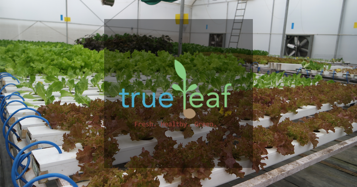 Contact Us – True Leaf Farms
