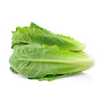 All Produce – True Leaf Farms